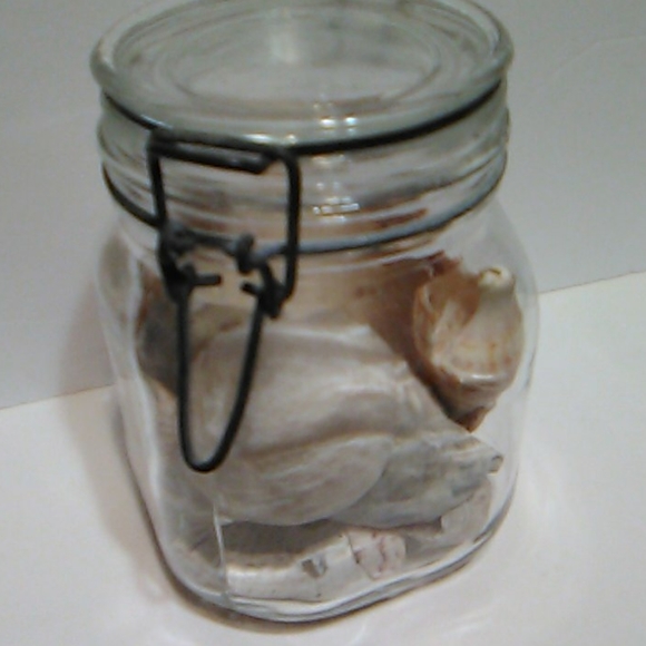 Accents | Clear Glass Canister With Shells | Poshmark